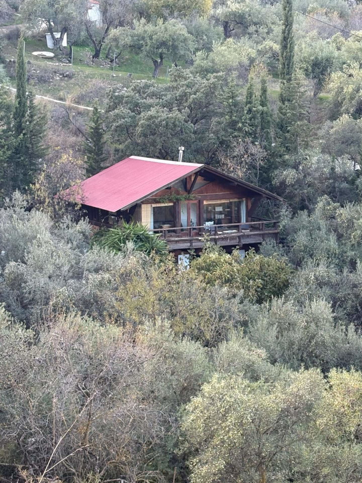 Cabin Among Olive Trees - Spain
