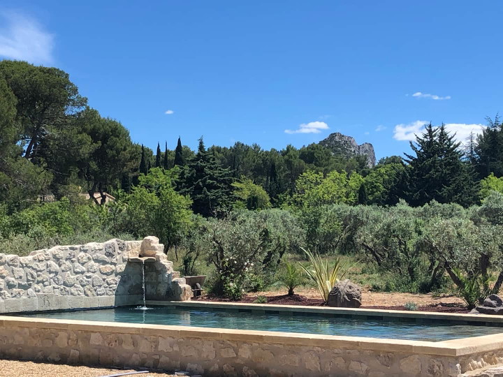 Le Bonheur Provençal Au Cœur Du Massif Alpilles - Saint-Rémy-de-Provence