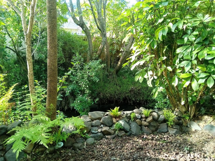 Garden View Studio - Akaroa
