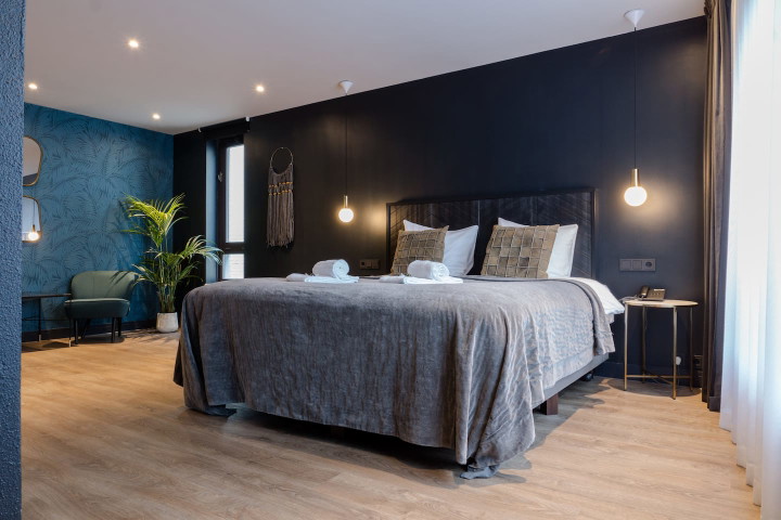 Deluxe Suite | Walk To Tulip Gardens | City View - Lisse