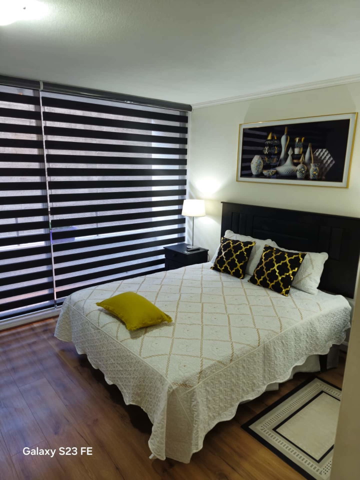 Apartment In Downtown Santiago De Chile. - Santiago, Şili