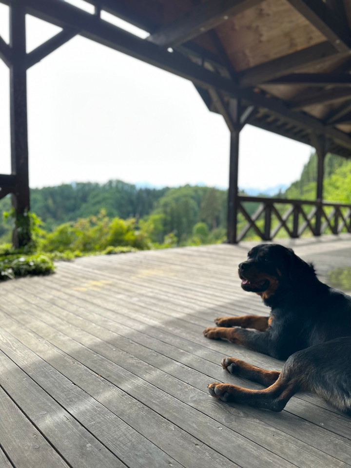 Spacious Private Villa.pets Are Allowed.about 40 Minutes To Hakuba Village - Nagano