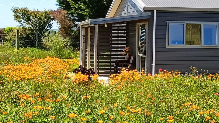 Let Nature Recharge Your Soul Again - Carterton