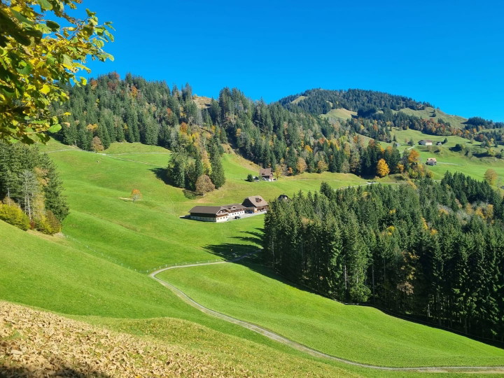 Bauernhof Blüemlisberg - Stoos