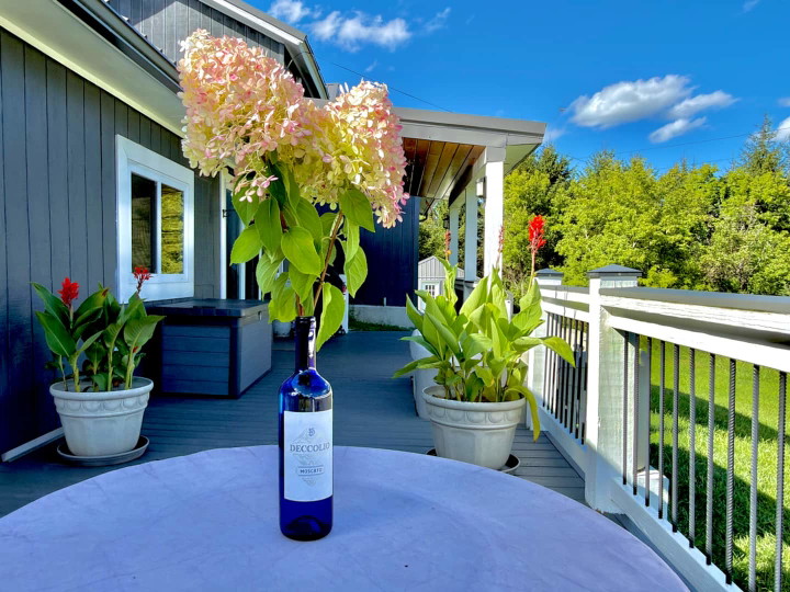 Amazing Stargazing Retreat - Finger Lakes, NY