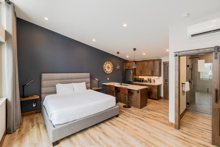 New Studio | Fireplace | King Bed | Fabulous Views - Fernie