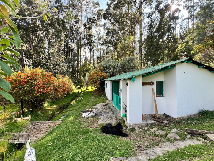 Hidden Refuge In The Mountains - Bosque Turqasa - Colombia