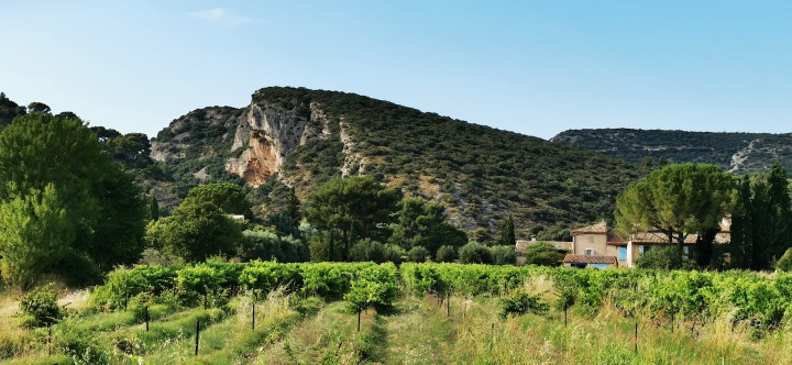 Appartement Terrasse Lointes Bastides Lourmarin - Lourmarin
