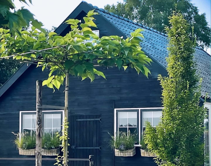 Holiday Home - Slagharen