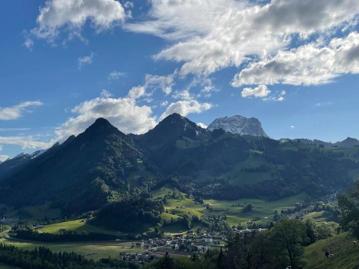 To The Sound Of The Crickets - Studio In Gruyère - Charmey
