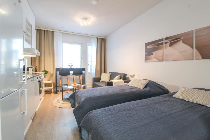 Pramea | Spacious Studio | Parking | Wi-fi | 27m2 - Kuopio