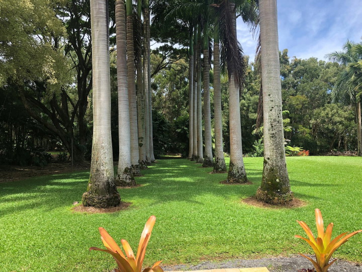 Royal Palm Cottage/5 Mins From Beach/akaka Falls/private Lanai - Hawaii