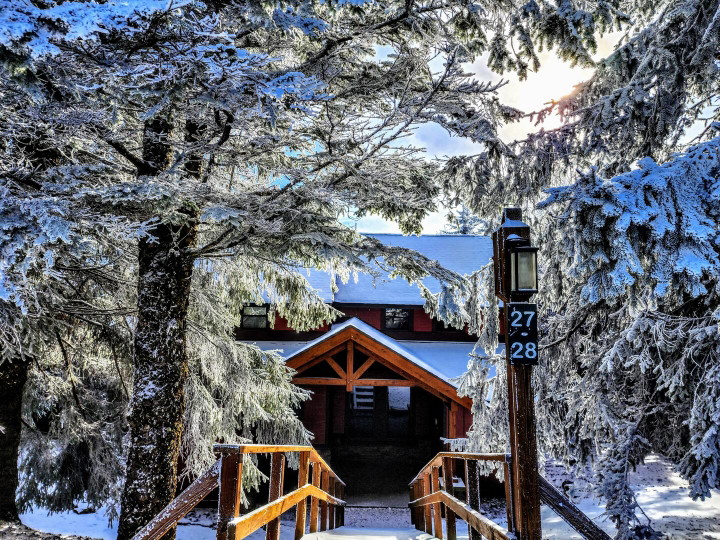Pet Friendly 2br/2ba Tree Top -Walk To Ski/village - West Virginia