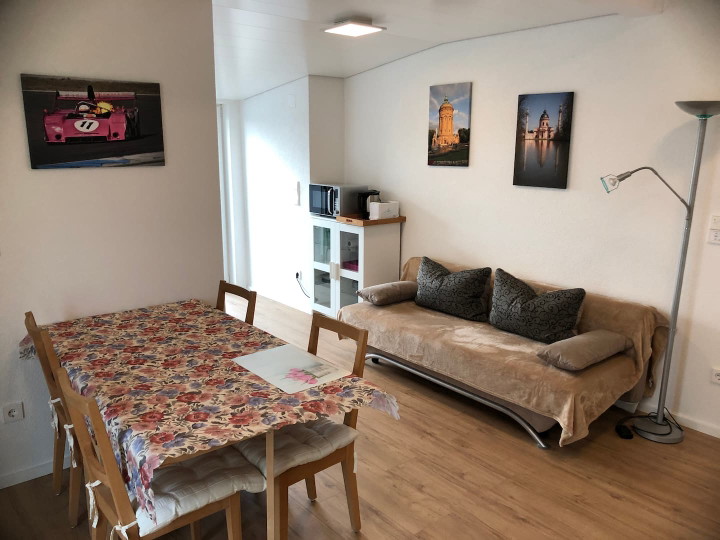 Studio With Roof Terrace - Hockenheim