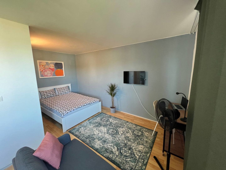 Molakova Apartment Prague - Praga
