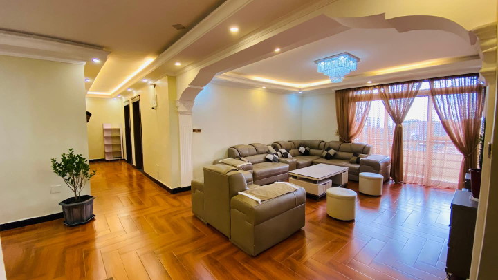 Clean Sweet Home In The Heart Of Addis - Addis Ababa