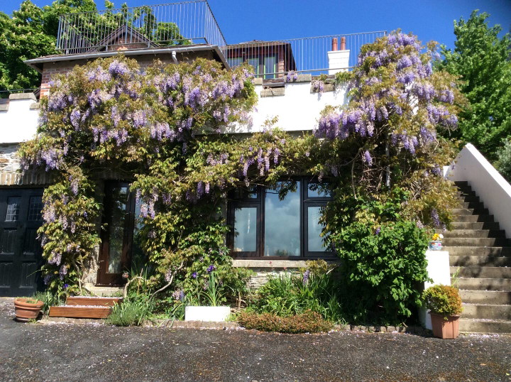 Little Orchard Annexe - Barnstaple