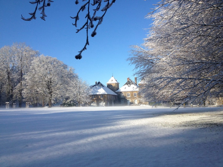 Nutscocoon : A Fairy Tale In Bastogne - Bastogne