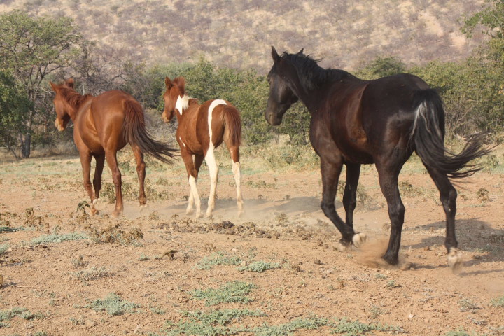 Eagles Nest Farm - Namibia