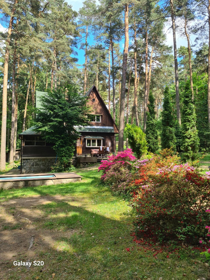 Cozy Hut In The Forest, Pool&grill Bbq - Czech Republic