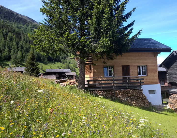 Chalet Daheim - Suisse