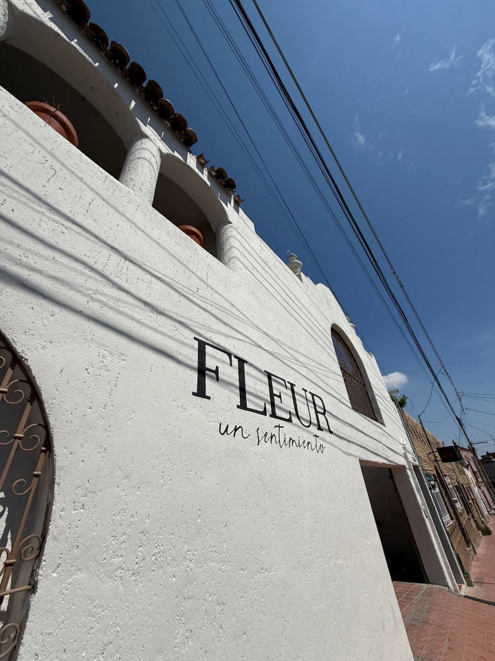 Stay At Fleur! (Apartment C) - Saltillo