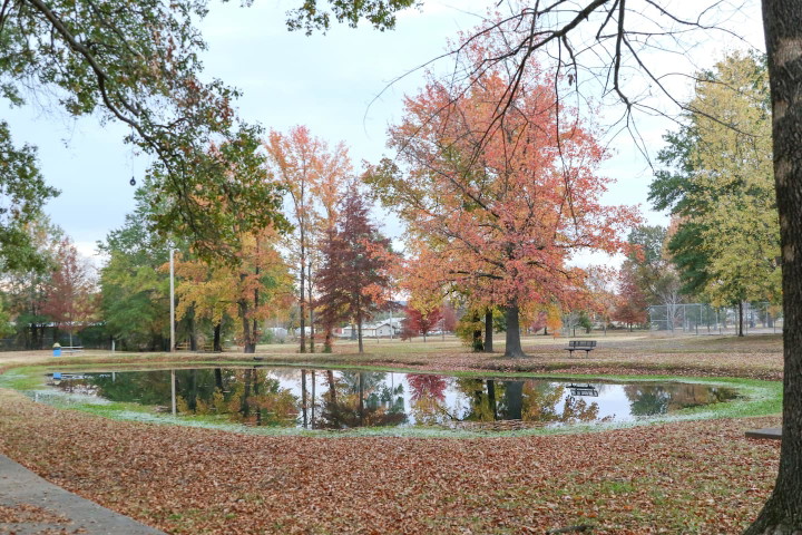 Quiet, 4-bed Home With Park View. - Clarksville, AR