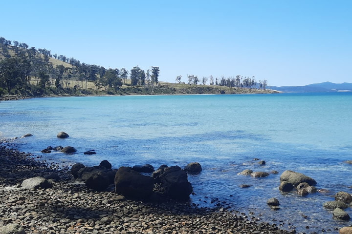 Evergreen Cabin - Tasmania