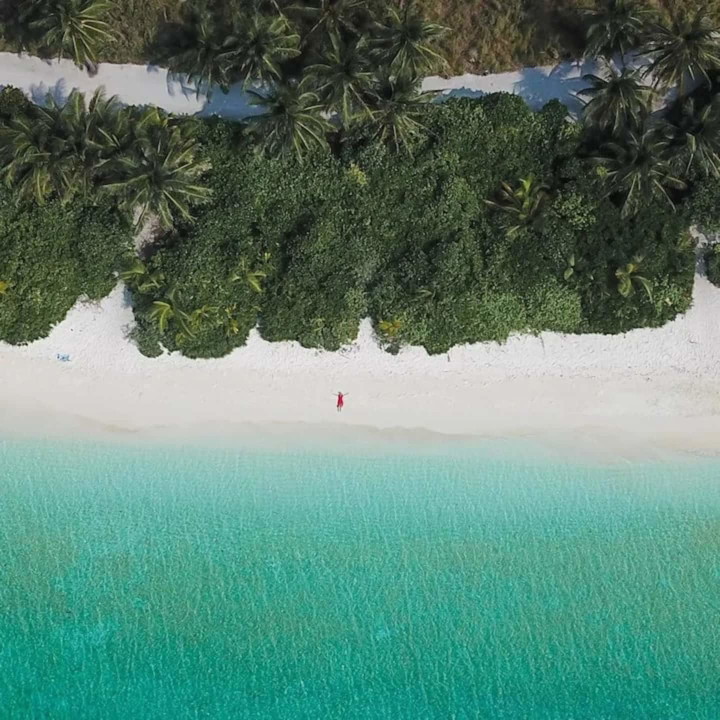 Lovely Villa Surrounded By Papaya Fields - Maldives