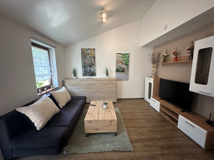 Ferienwohnung Mit Galerie - Hunde Willkommen - Falkenstein