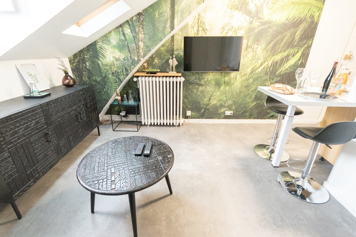 The Foresty - Hypercenter - Airbookingangers - Angers