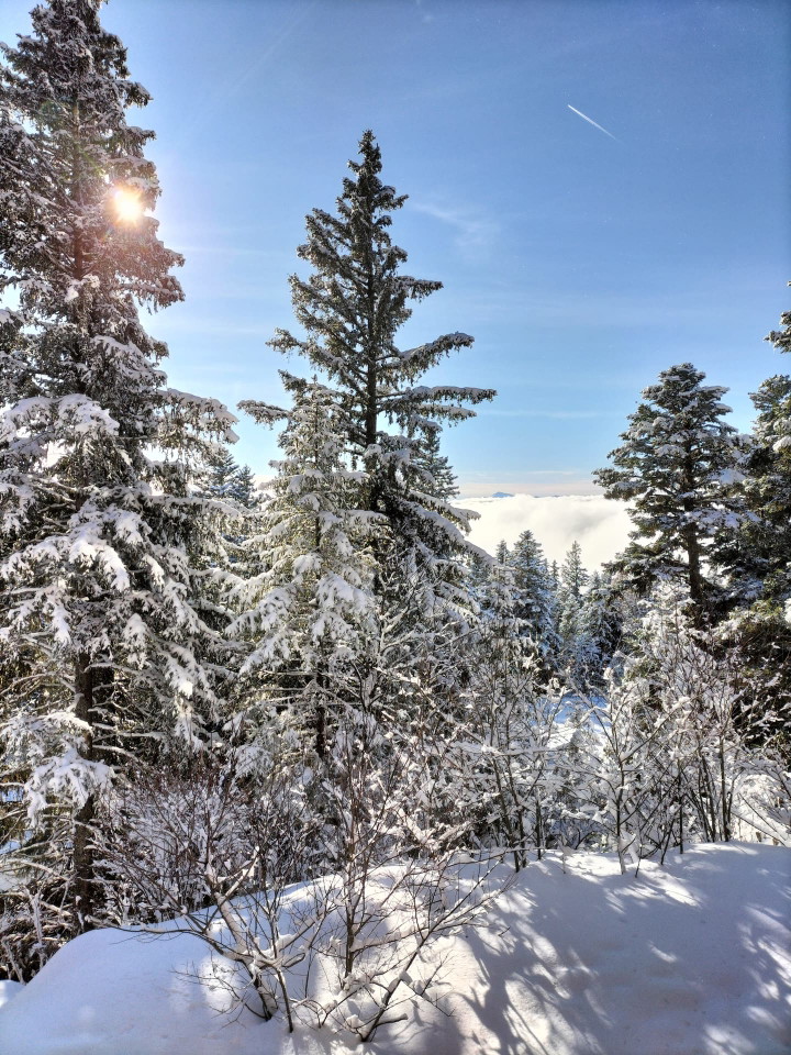 En C13~bel Appartement 2 Ch. Aux Pieds Des Pistes - Chamrousse