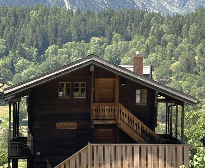 Charming Mountains, Good Air, Tranquility - Birkehüs - Bettmeralp