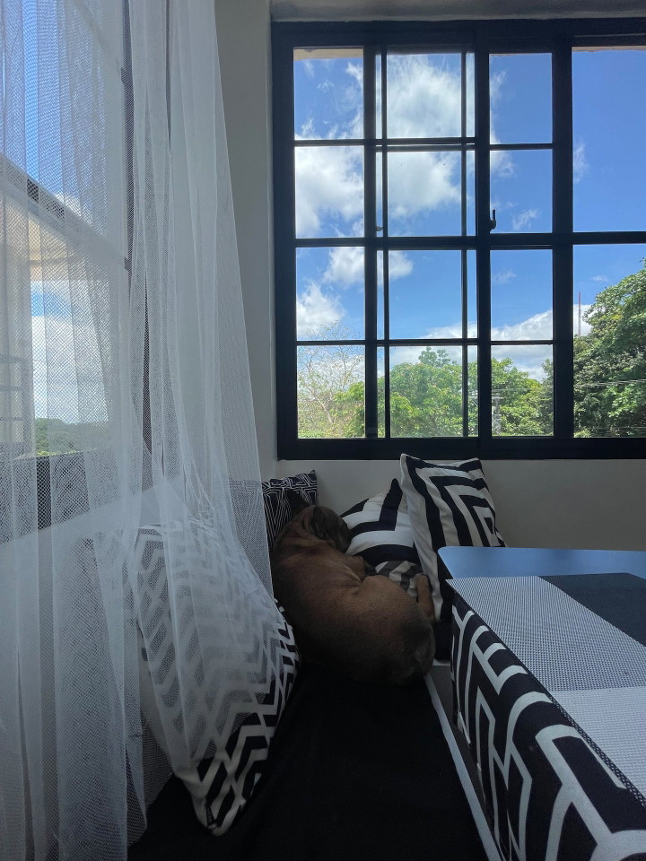 Pet-friendly Unit With Mountain View - Angono