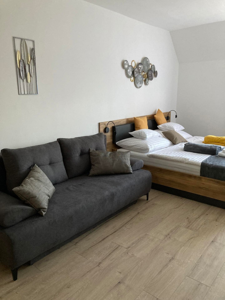 Dávid Wellness Apartman - Zalakaros