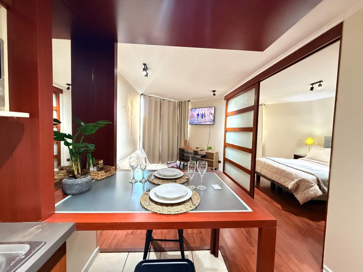 Super Comfortable Apartment Bellas Artes Santiago - Chile