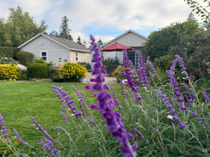 Serene & Peaceful Getaway In Redwood City - Woodside, CA