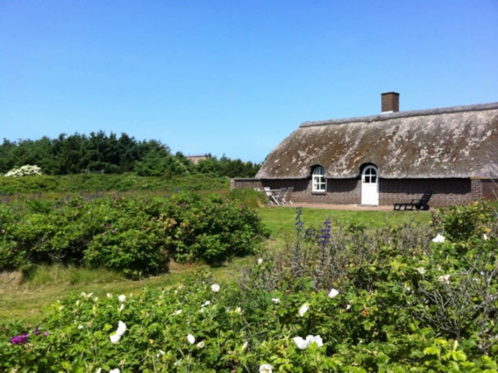 Lovely Holiday Home, Only 400 Meters To North Sea - Denmark