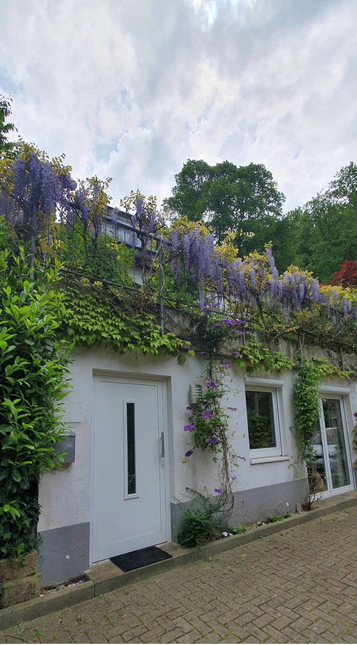 Apartment, 60sqm, Close To City/forest, Wallbox - Gundelfingen