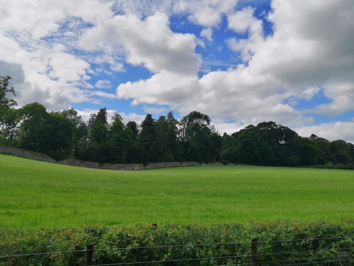 Lemnagore Lodge - Monaghan