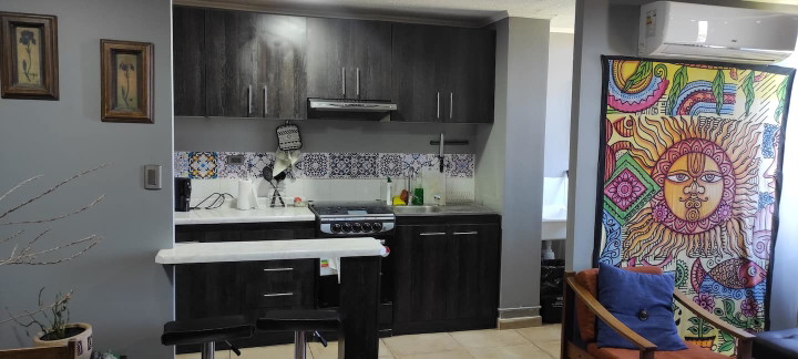 Furnished Apartment. Close To Downtown And Bus Terminal - Chillan