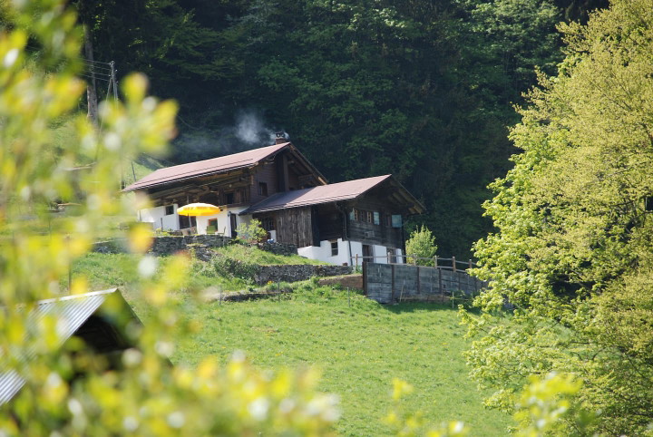 Chalet En Pleine Nature - Leysin