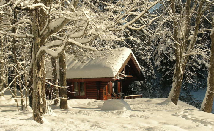 Petit Héron Au Bord De La Rivière Jacques Cartier - Stoneham-et-Tewkesbury