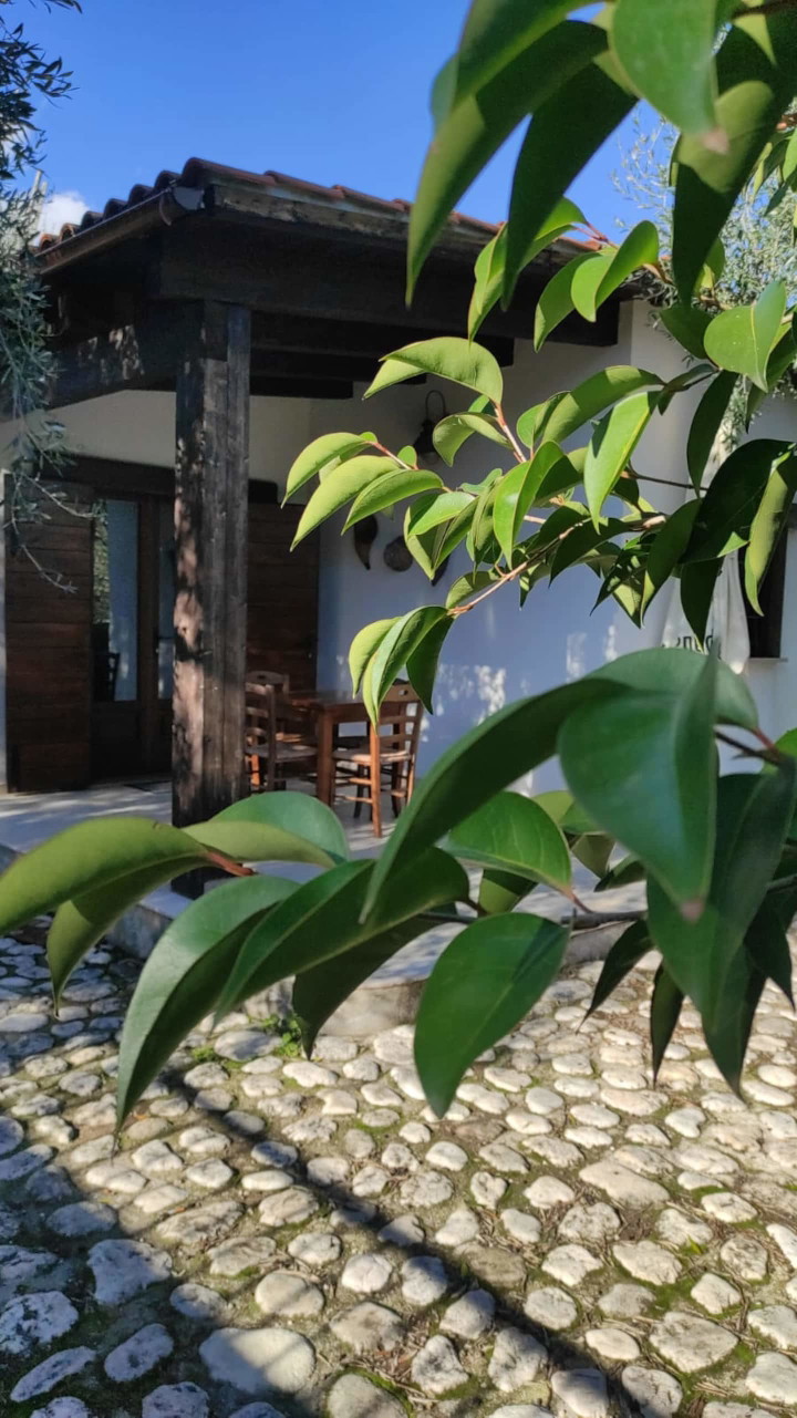 Villa Mimì - Maison Avec Jardin Indépendant - Mattinata