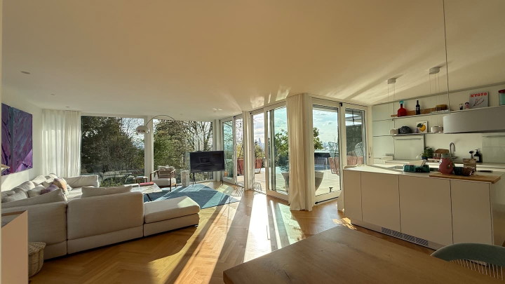 Luxuriöses Designhaus Mit Panorama-blick - Bâle