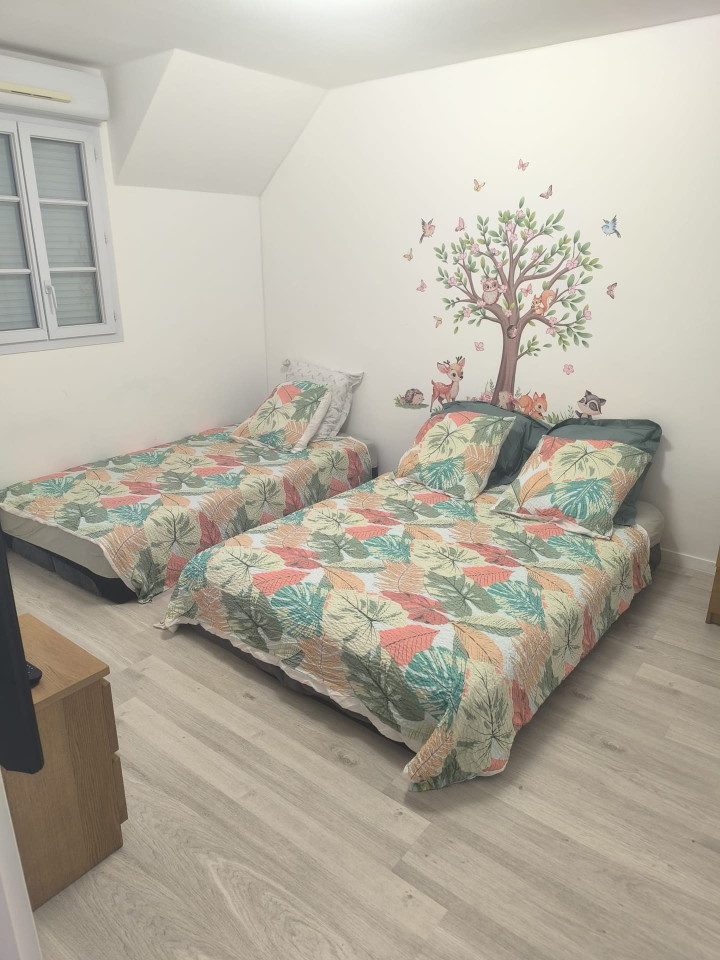 Chambres Climatisées Proche Disneyland Paris. - Disneyland Paris