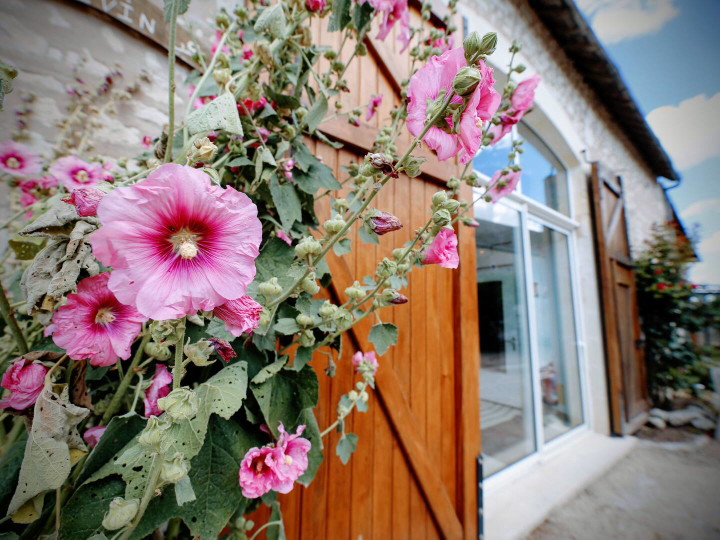 Grand Gîte Pour 18 Personnes - France