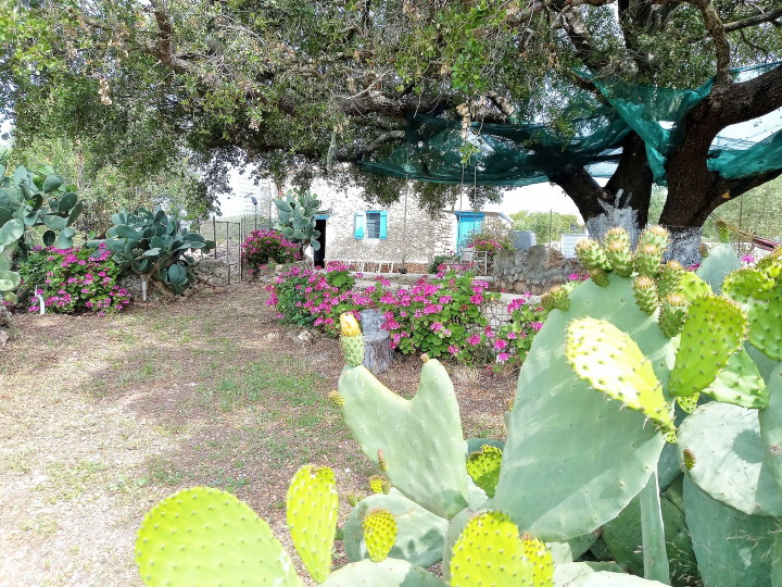 Stimies, Cactus Farm House - Zakynthos
