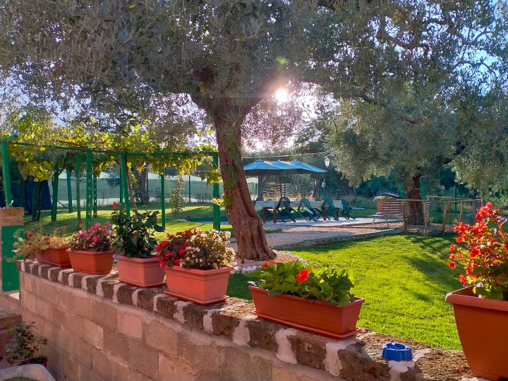 Cottage In The Olive Farm - Chieti