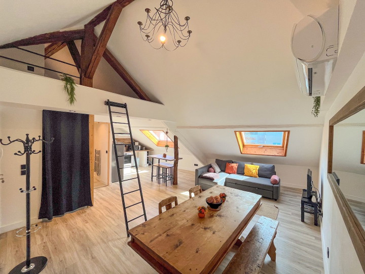 Cocoon Under The Roofs - Downtown - 5 Min Station - Albertville